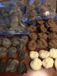 Carding or Combing Wool; goodbye slubs | Whimsical Ewe